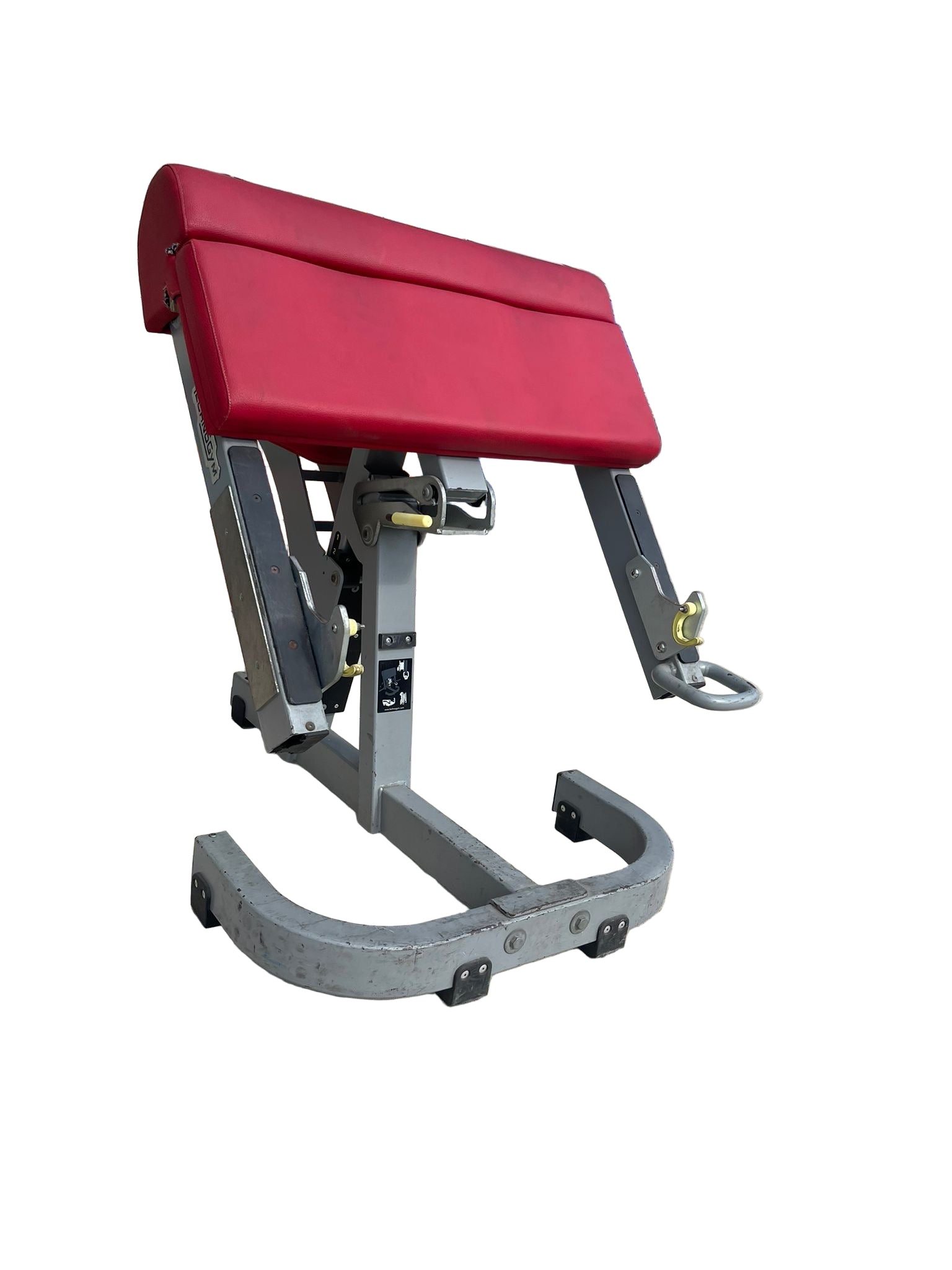 Technogym Preacher Curl /Bicep Curl Bench Commercial Gym Equipment– My ...