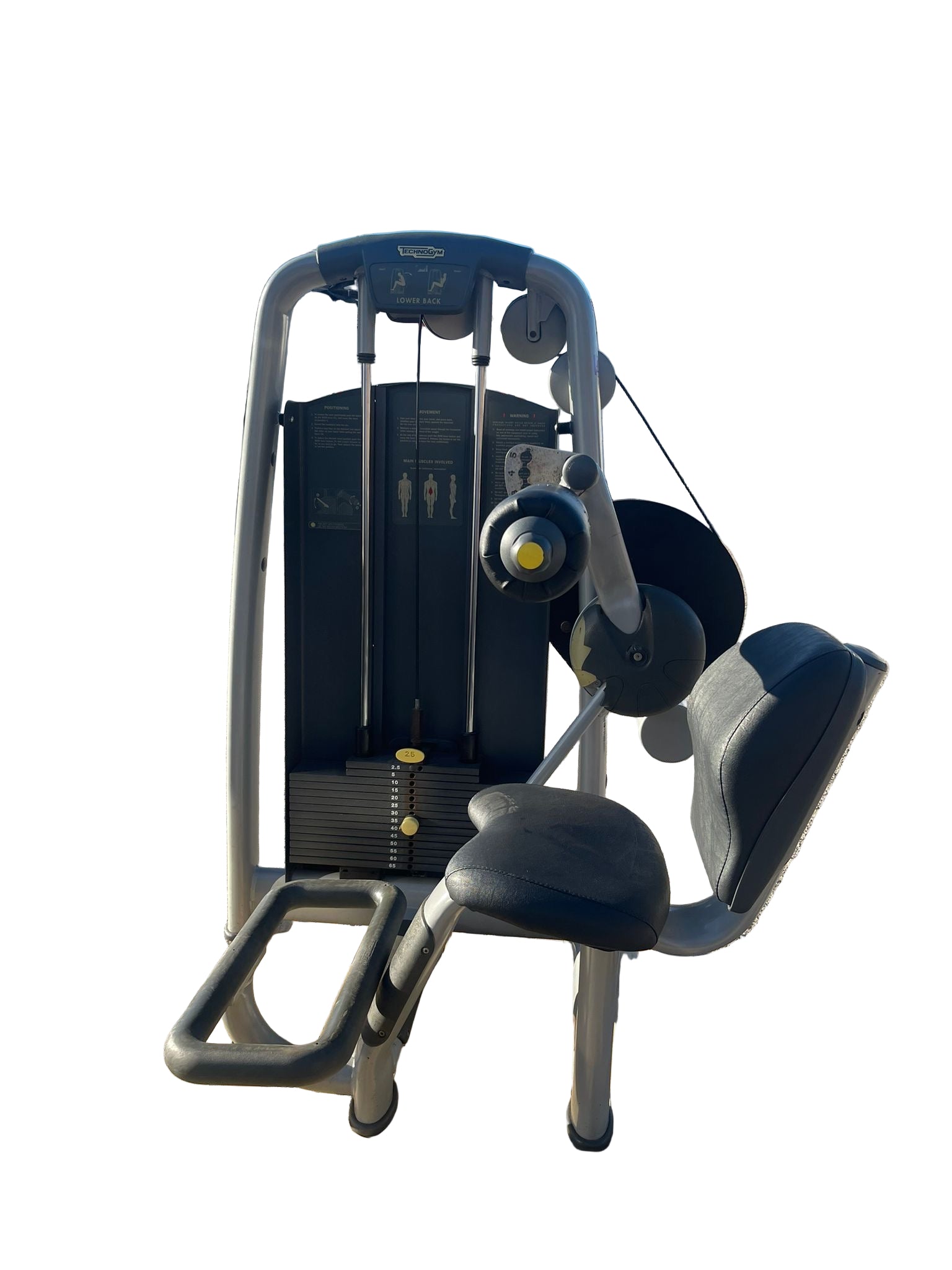 Technogym Selection Line Lower Back Machine – My Fitness Junction